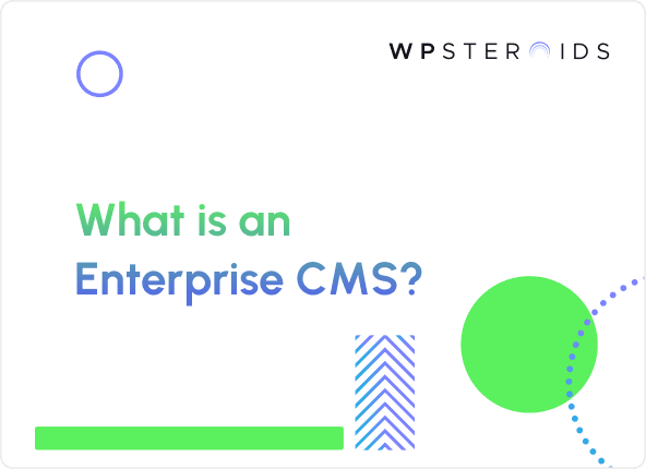 What Is an Enterprise CMS? An Expert Guide for 2025 - WPSteroids.com